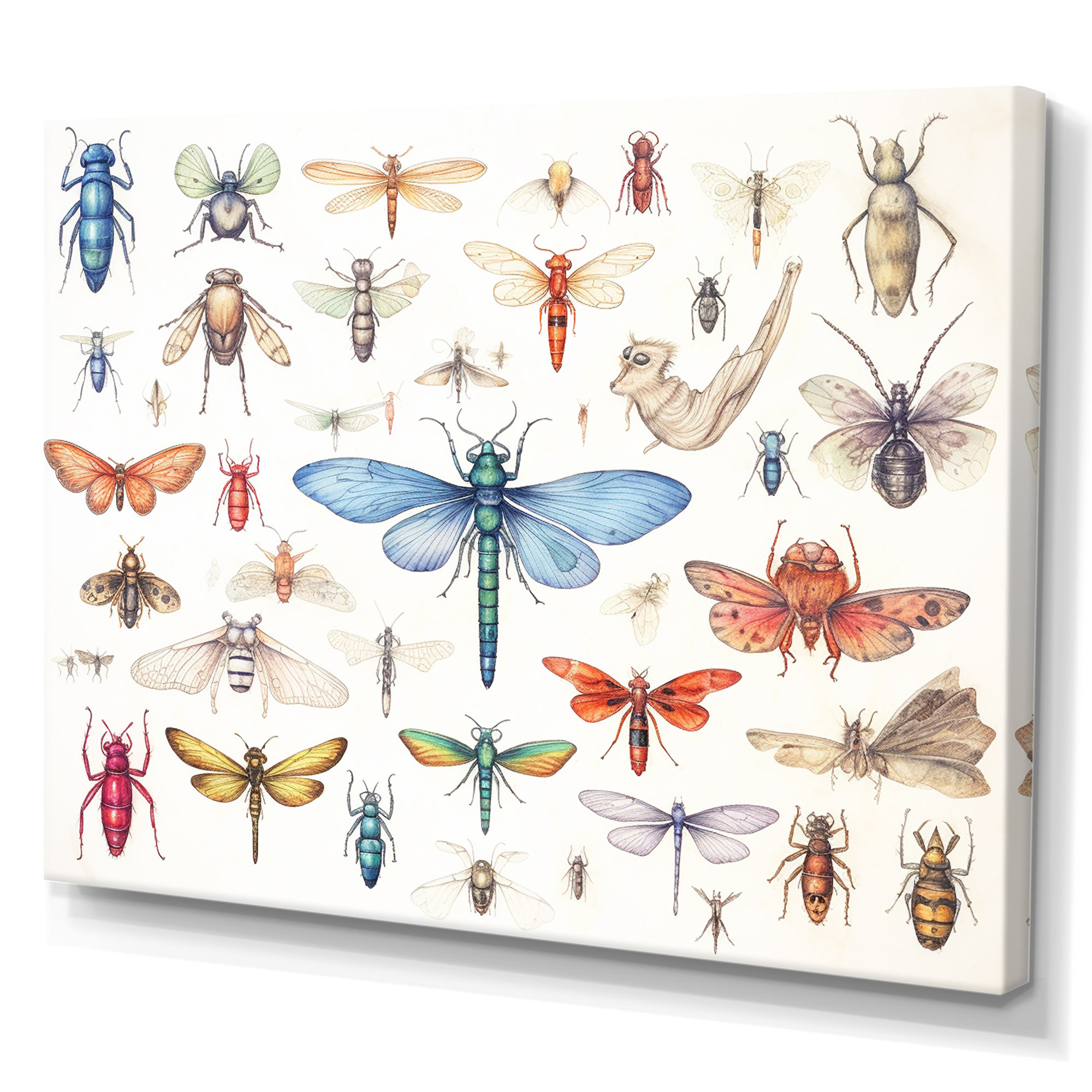 Red Barrel Studio Tiny Insect Wonders I On Canvas Print - Wayfair Canada
