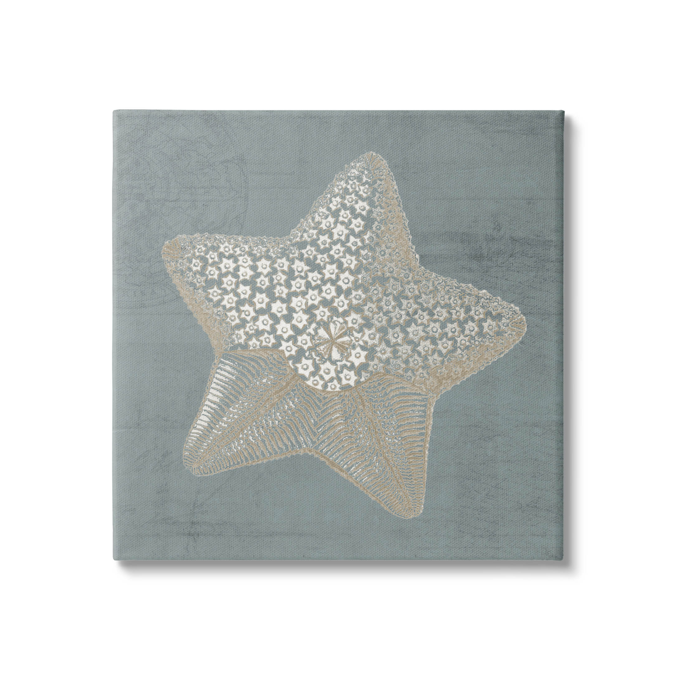 Stupell Industries Patterned Starfish Aquatic Sea Life Canvas Wall Art ...