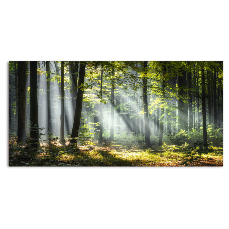 magic forest wall art