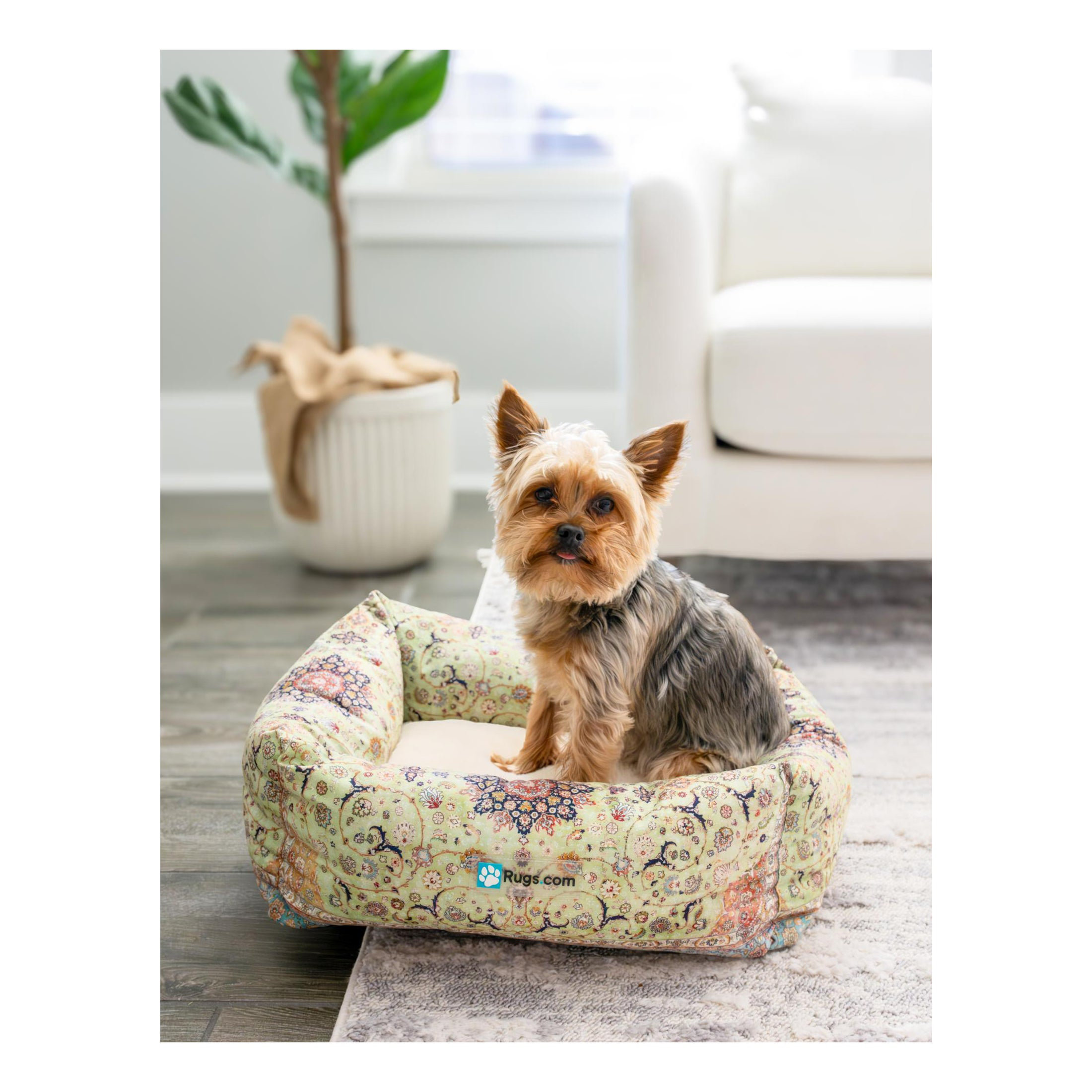 Rugs.com Gina Premium Pet Bed Rug - Wayfair Canada