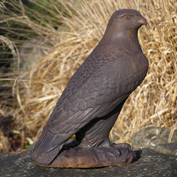 Nichols Bros. Stoneworks Hawk Statue & Reviews - Wayfair Canada