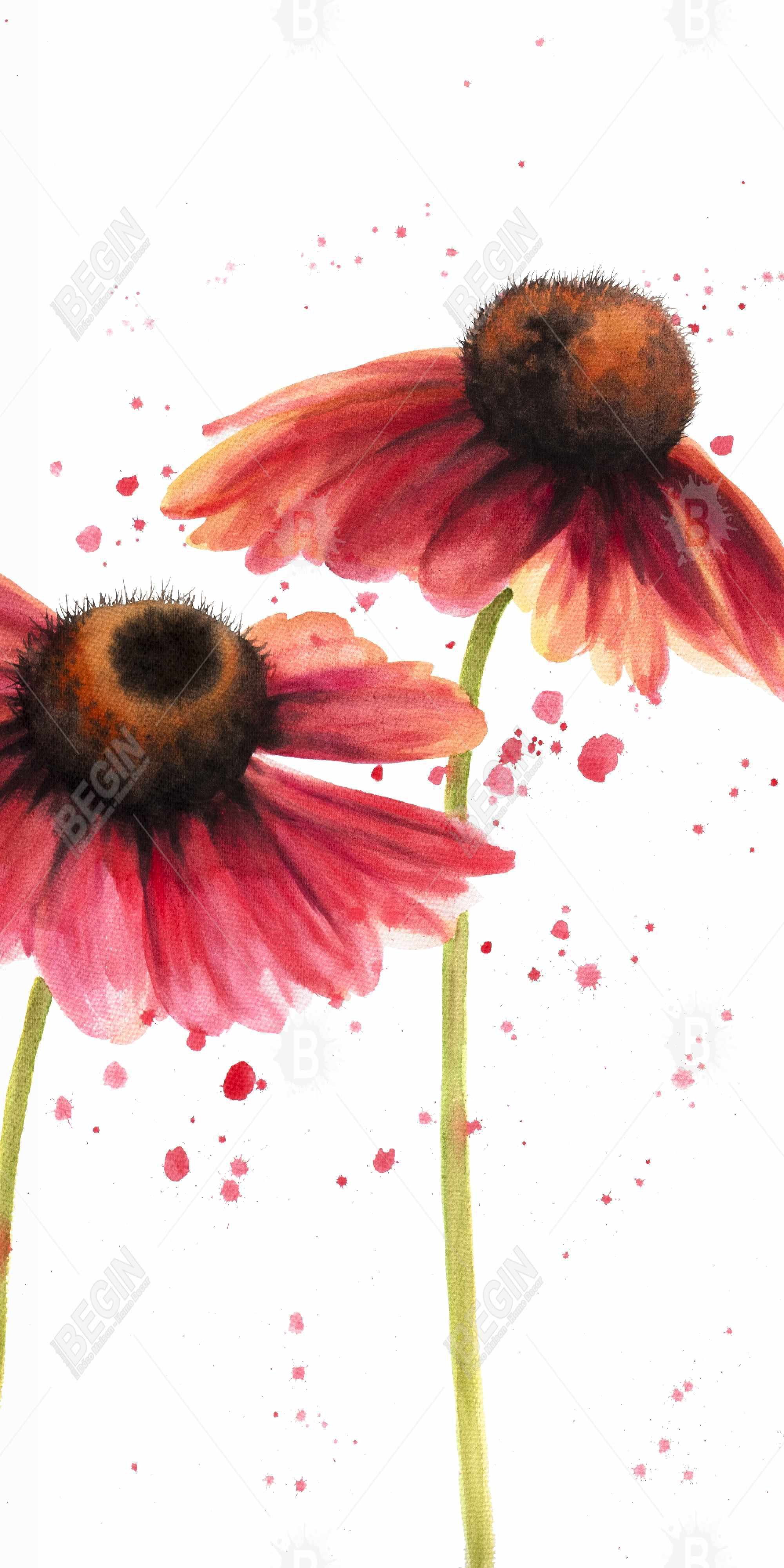 Begin Edition International Inc. Two pink daisies - 15.75"x31.50" Desk ...