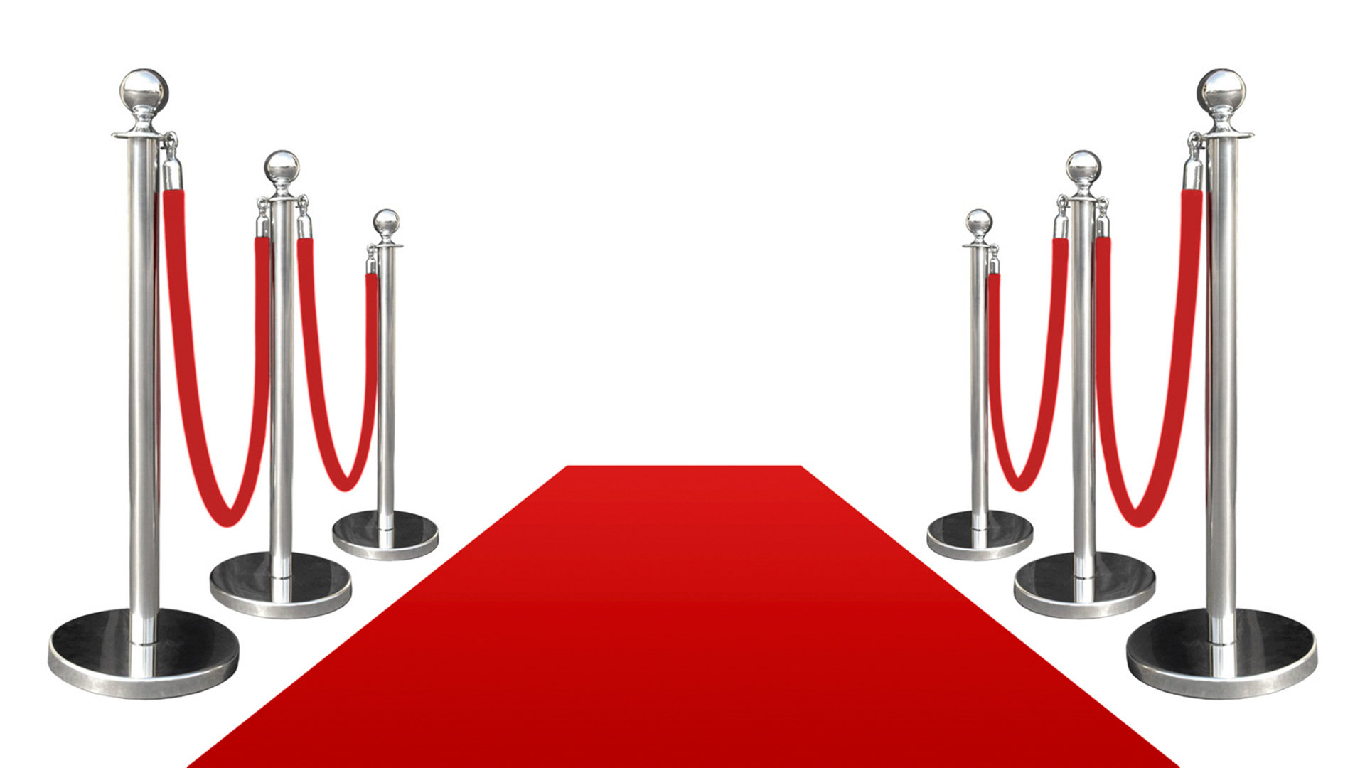 VIP Crowd Control Hollywood Grand Entrance Vip Style | Wayfair