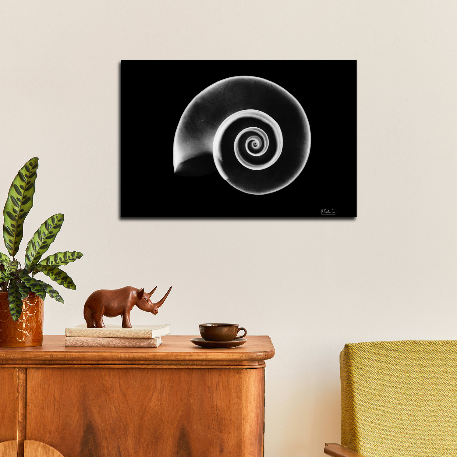 Ivy Bronx Steelpix Metal Canvas - Ramshorn Snail Shell by Albert ...