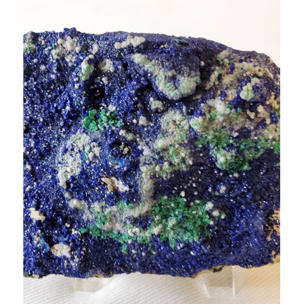 Highland Dunes Hallie Nature Figurine / Sculpture | Wayfair