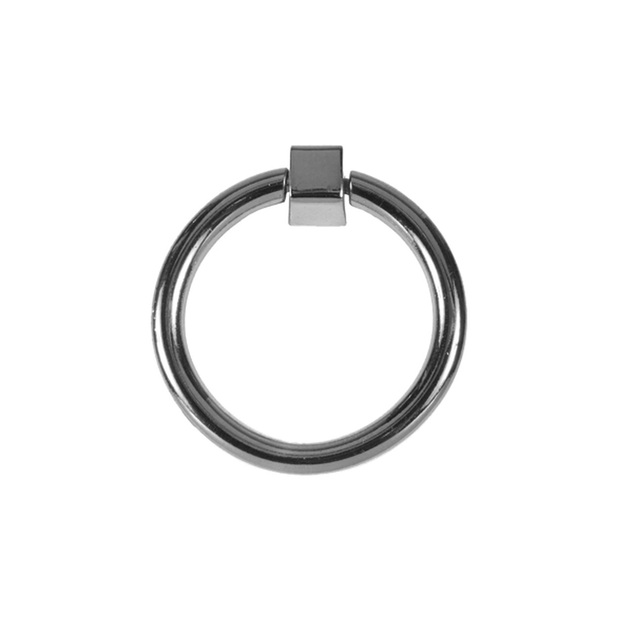 Worlds Away Lucas Ring Pull - Wayfair Canada