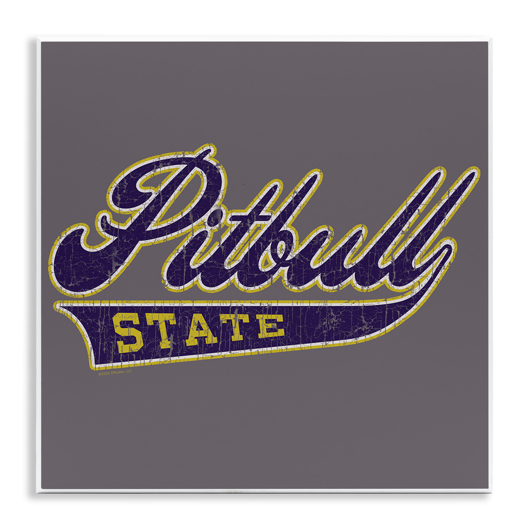 Ebern Designs Varsity Style Pitbull State Wall Plaque Art by Spirit ...