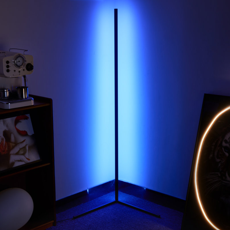 Wrought Studio™ Denada 55" LED Novelty Floor Lamp | Wayfair