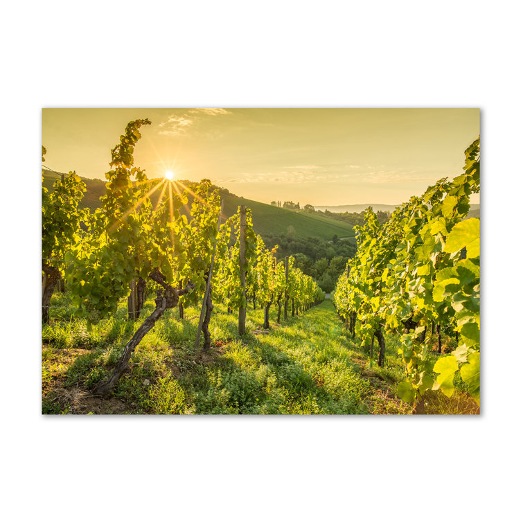 Union Rustic Vineyard - Wrapped Canvas Art Prints | Wayfair.co.uk