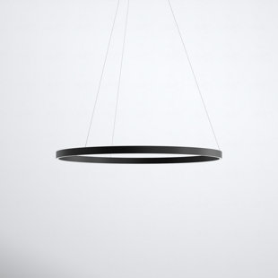 Modern Black Pendant Lighting | AllModern