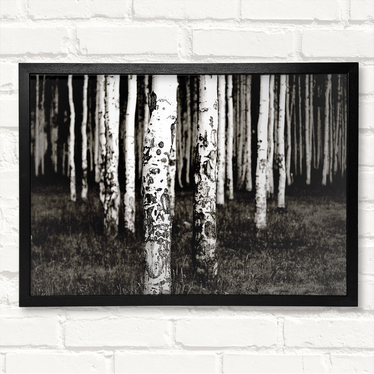 Alpen Home Mountains Quakies Forest - Closed Corner Frame Art Prints on ...