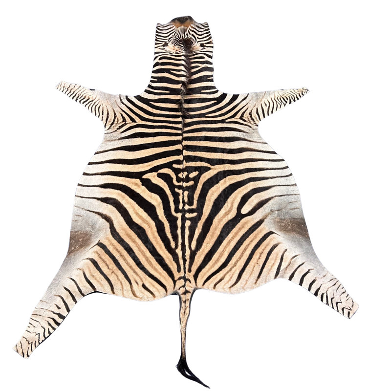 Foundry Select Real Zebra Skin Rug | Wayfair