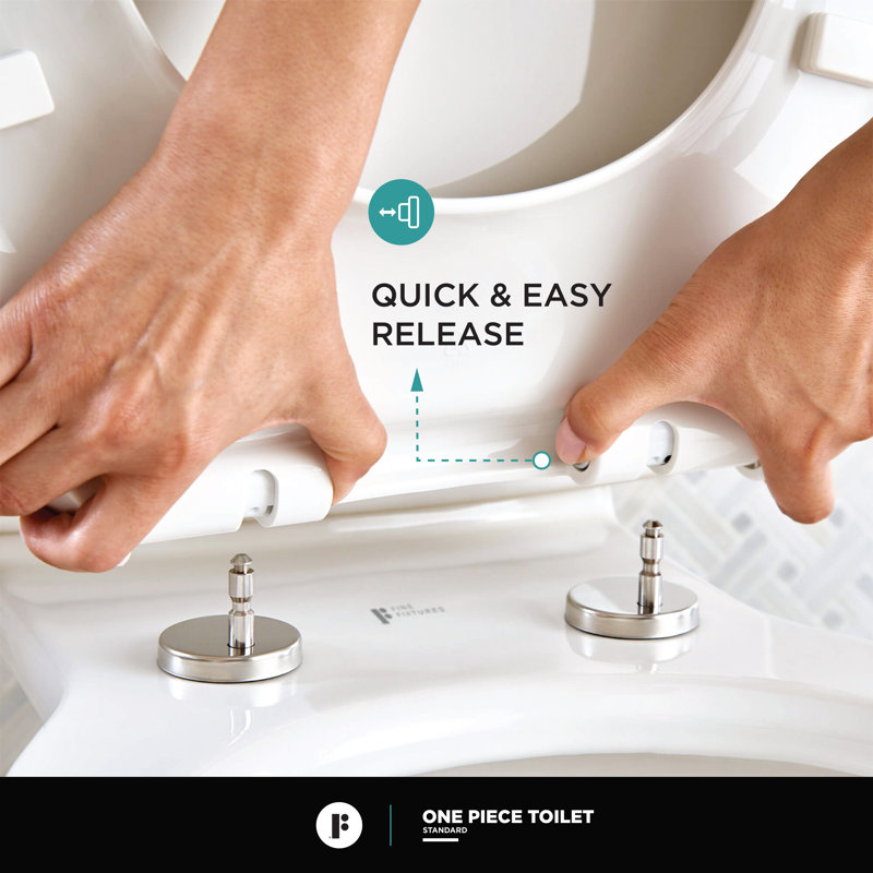 Fine Fixtures Dual-Flush Elongated One-Piece Toilet with High ...