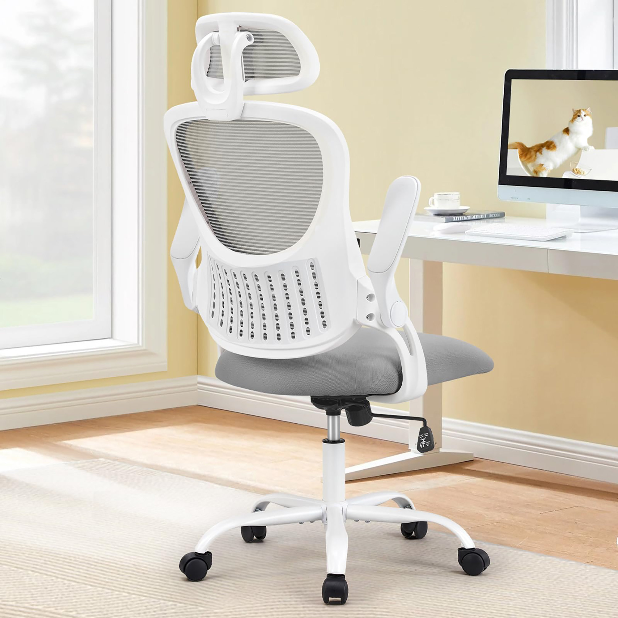 Inbox Zero Office Computer Desk Chair, Ergonomic Low-Back Mesh Rolling ...