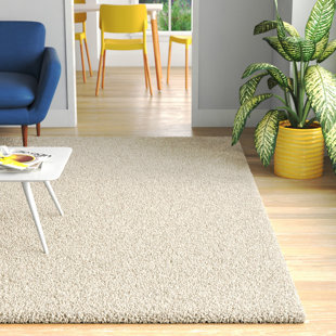 Shag Area Rugs You'll Love | Wayfair