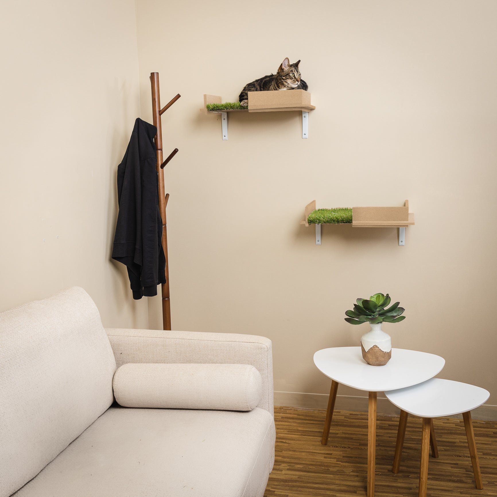 Archie & Oscar™ 13" Isabelle Cat Perch & Reviews - Wayfair Canada