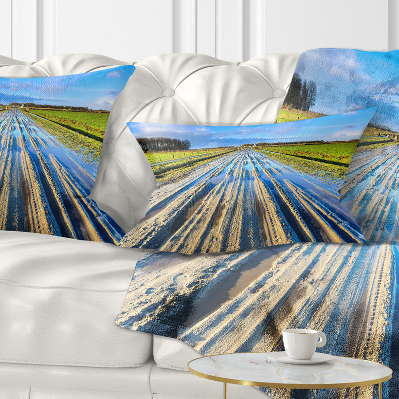 Design Art Muddy Sand Lane On Sunny Day - Landscape Printed Pillow ...