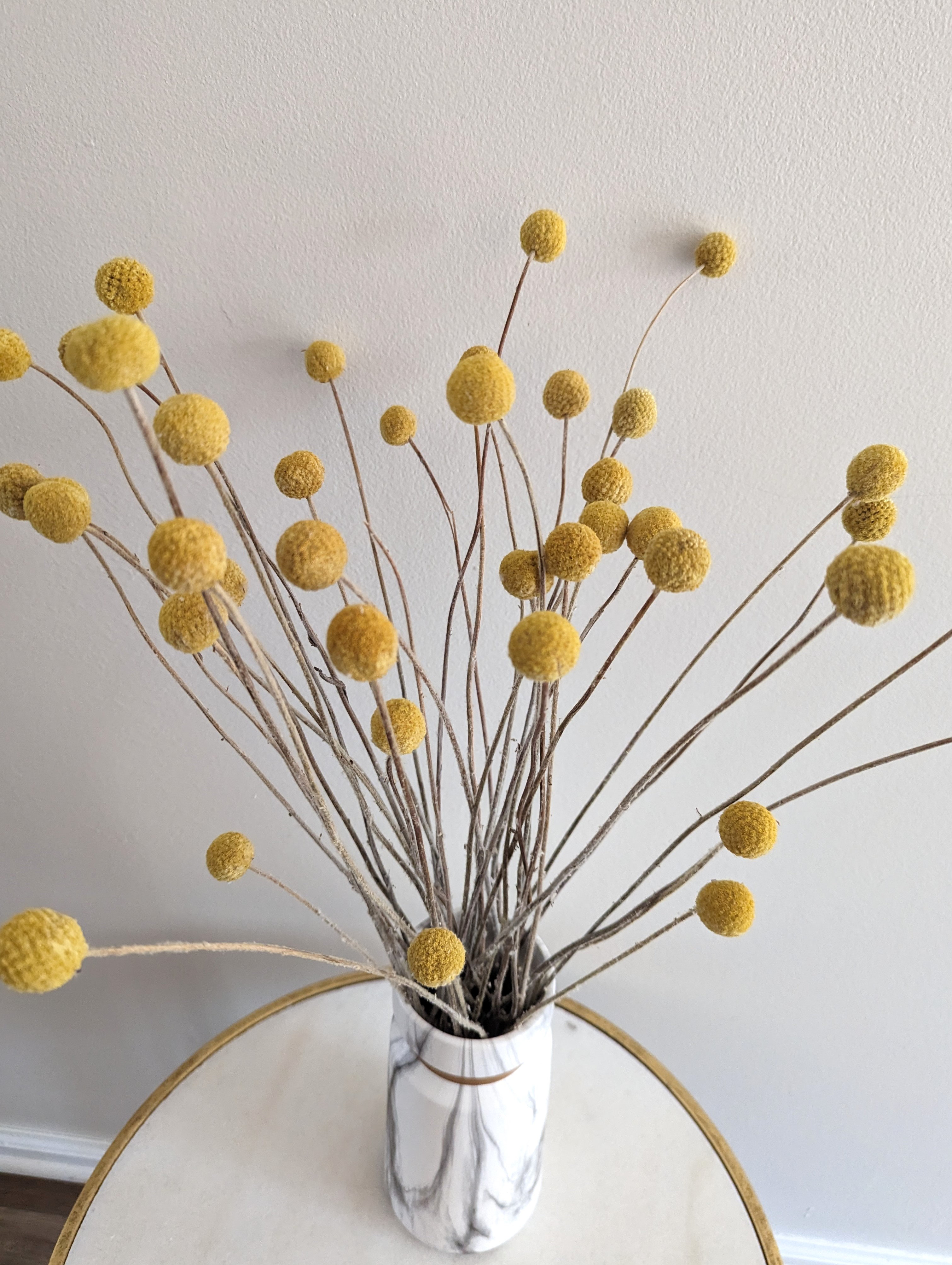 Primrue Preserved Billy Buttons Arrangement in Vase | Wayfair