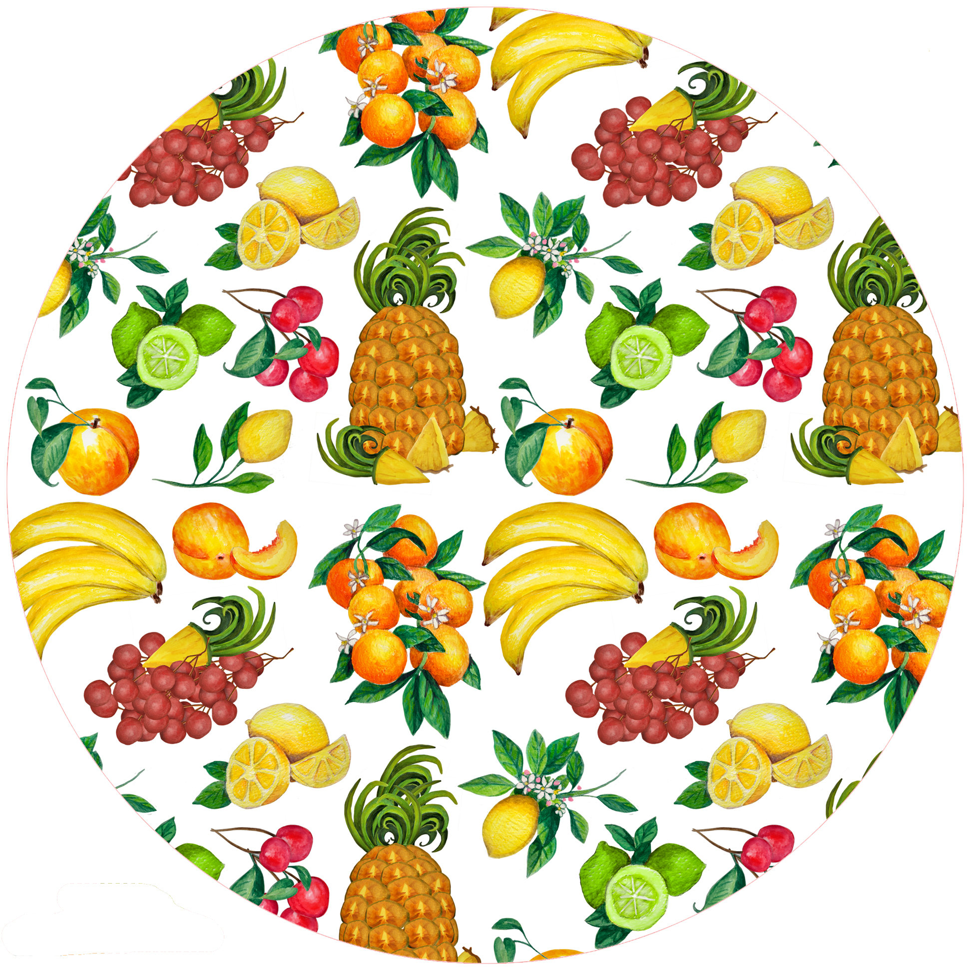 Andreas Silicone Trivets Mixed Fruit (GG) | Wayfair