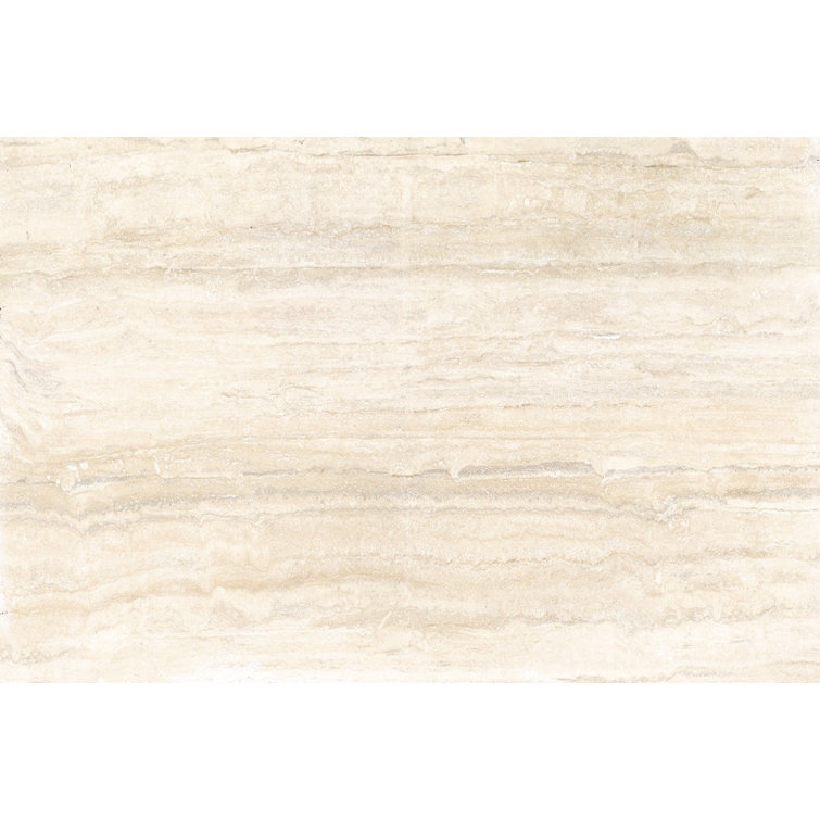 Stone & Tile Shoppe, Inc. 12" x 24" Porcelain Stone Look Wall & Floor ...