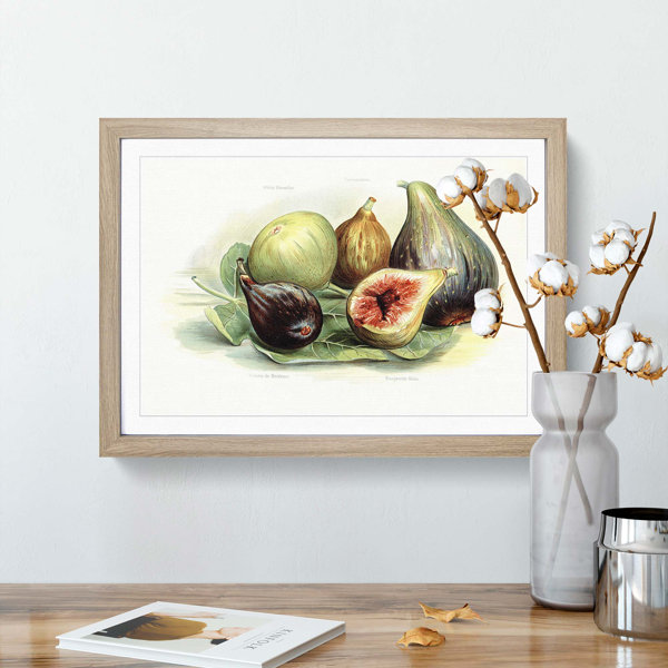 East Urban Home Vintage Illustration of Figs - Picture Frame Painting ...
