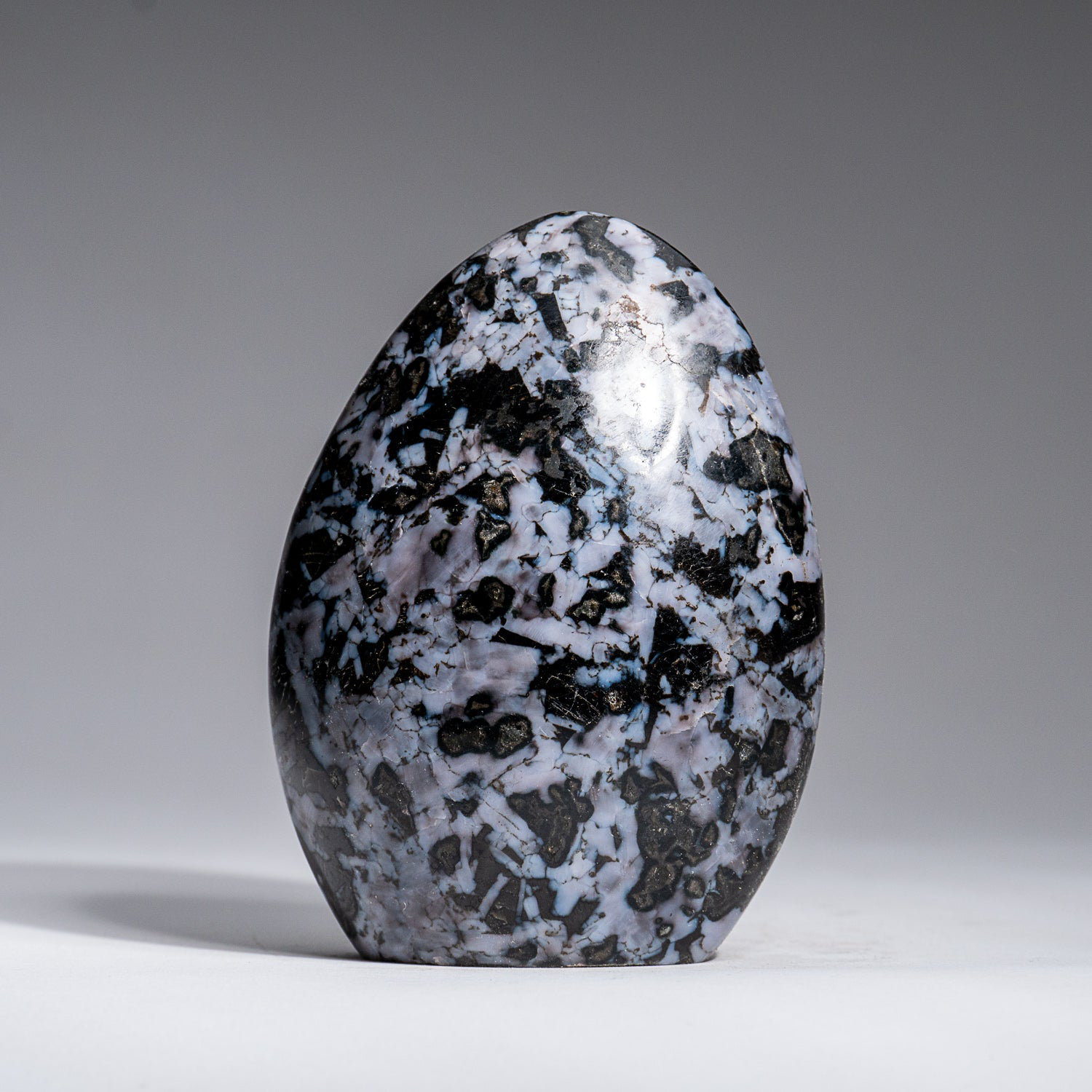 Astro Gallery of Gems Genuine Polished Indigo Gabbro Freeform from ...