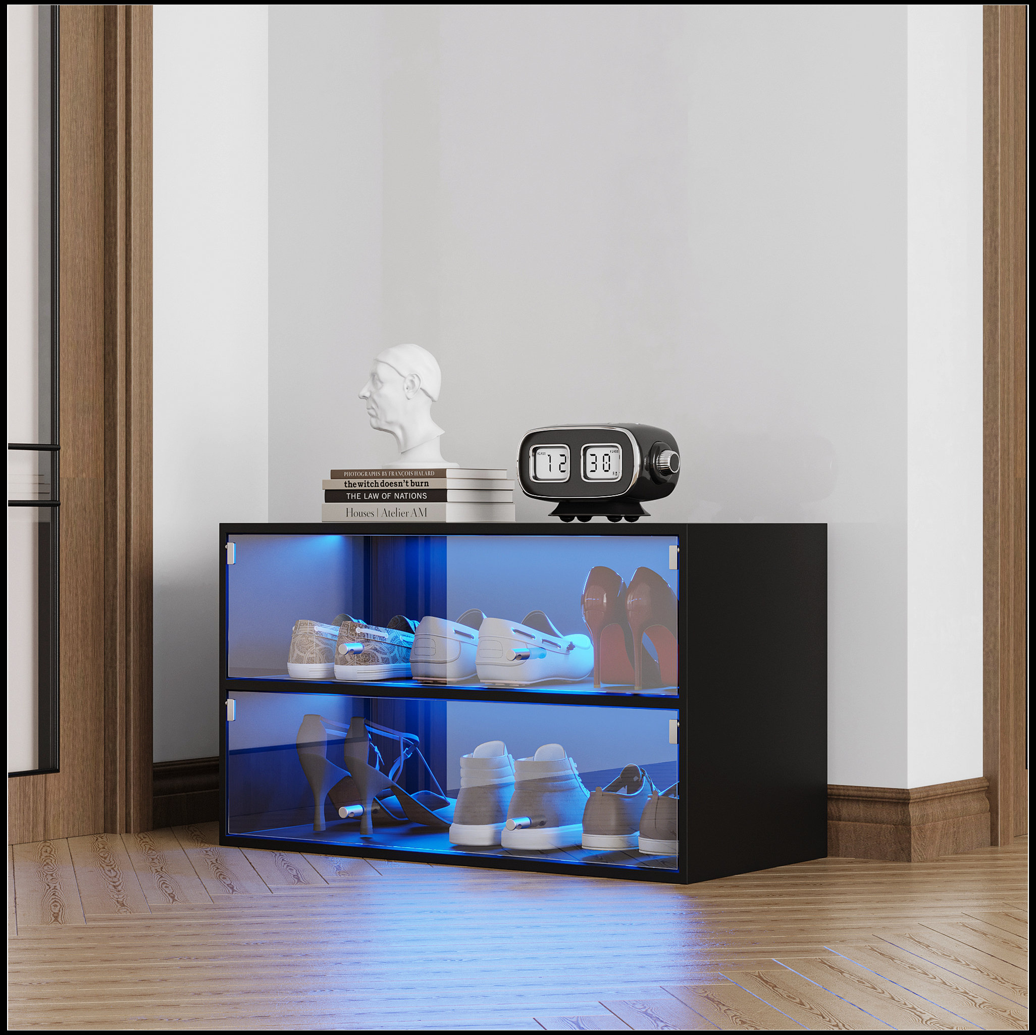 17 Stories Glass Door Shoe Box Shoe Storage Cabinet With RGB Led Light ...