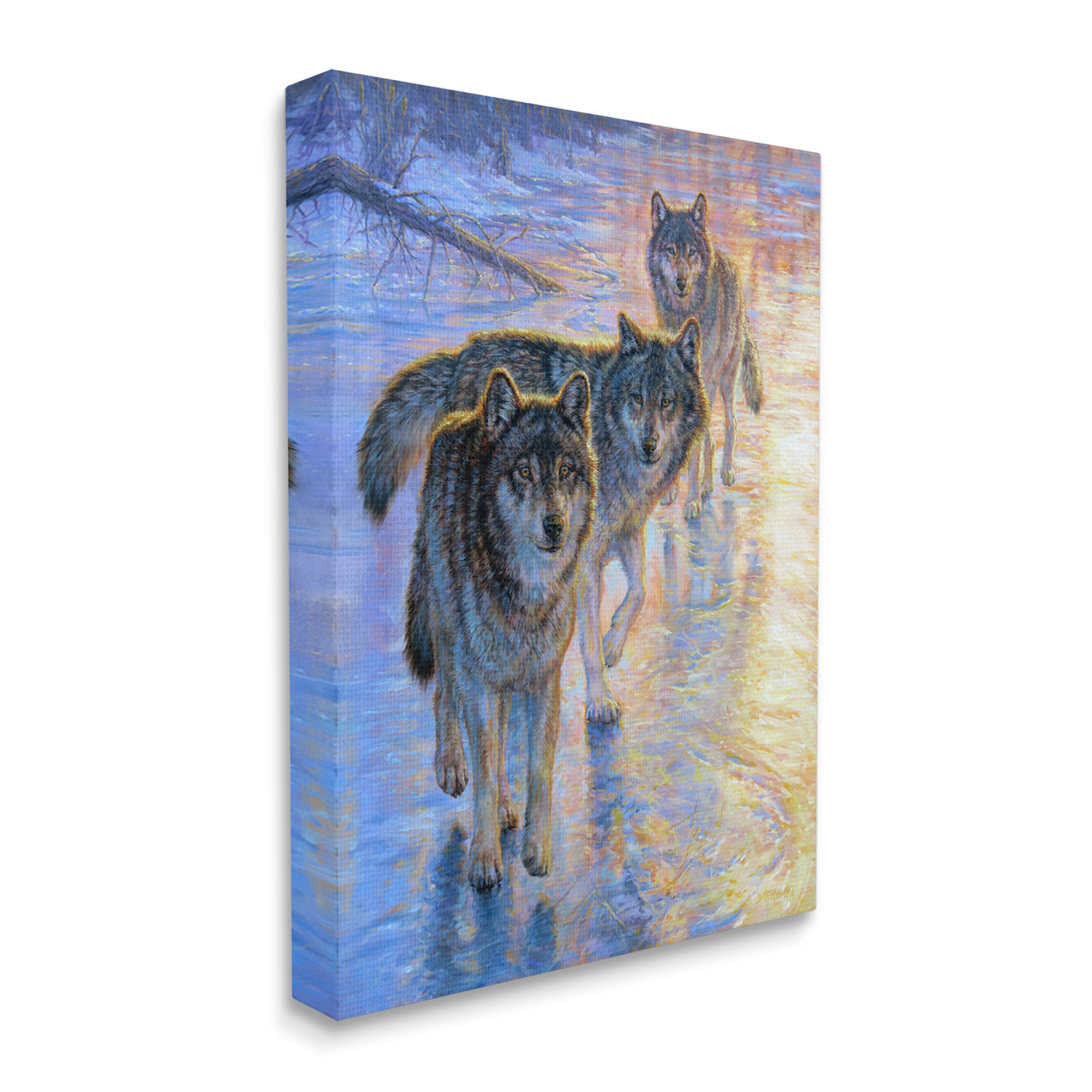 Stupell Industries Sunlit Wolf Trio Painting On Canvas Painting | Wayfair