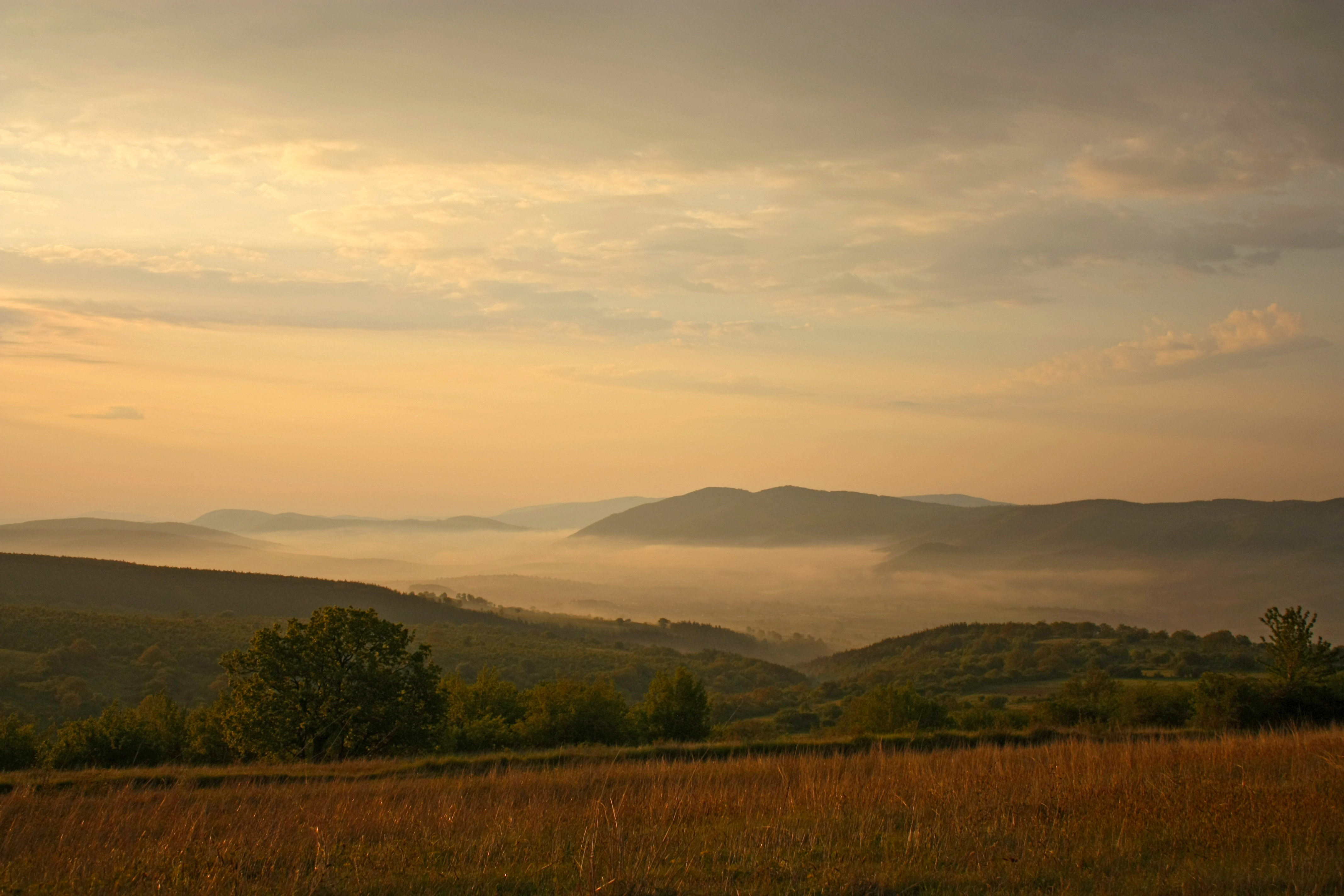 Millwood Pines Amazing Mountain Landscape by Gerdzhikov - Wrapped ...