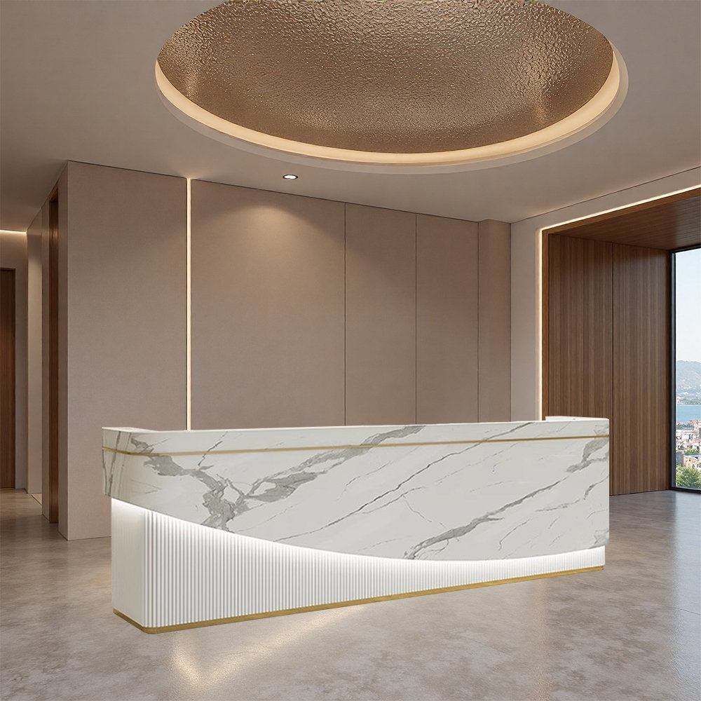 XOPOL Home Contemporary Front Counter with LED Lighting and Spacious ...
