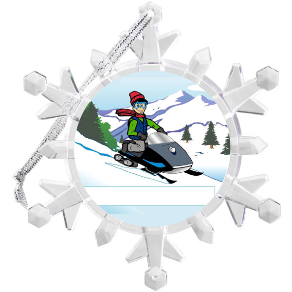 Printed Perfection Personalized Snowmobile - Male Lighted LED Snow ...