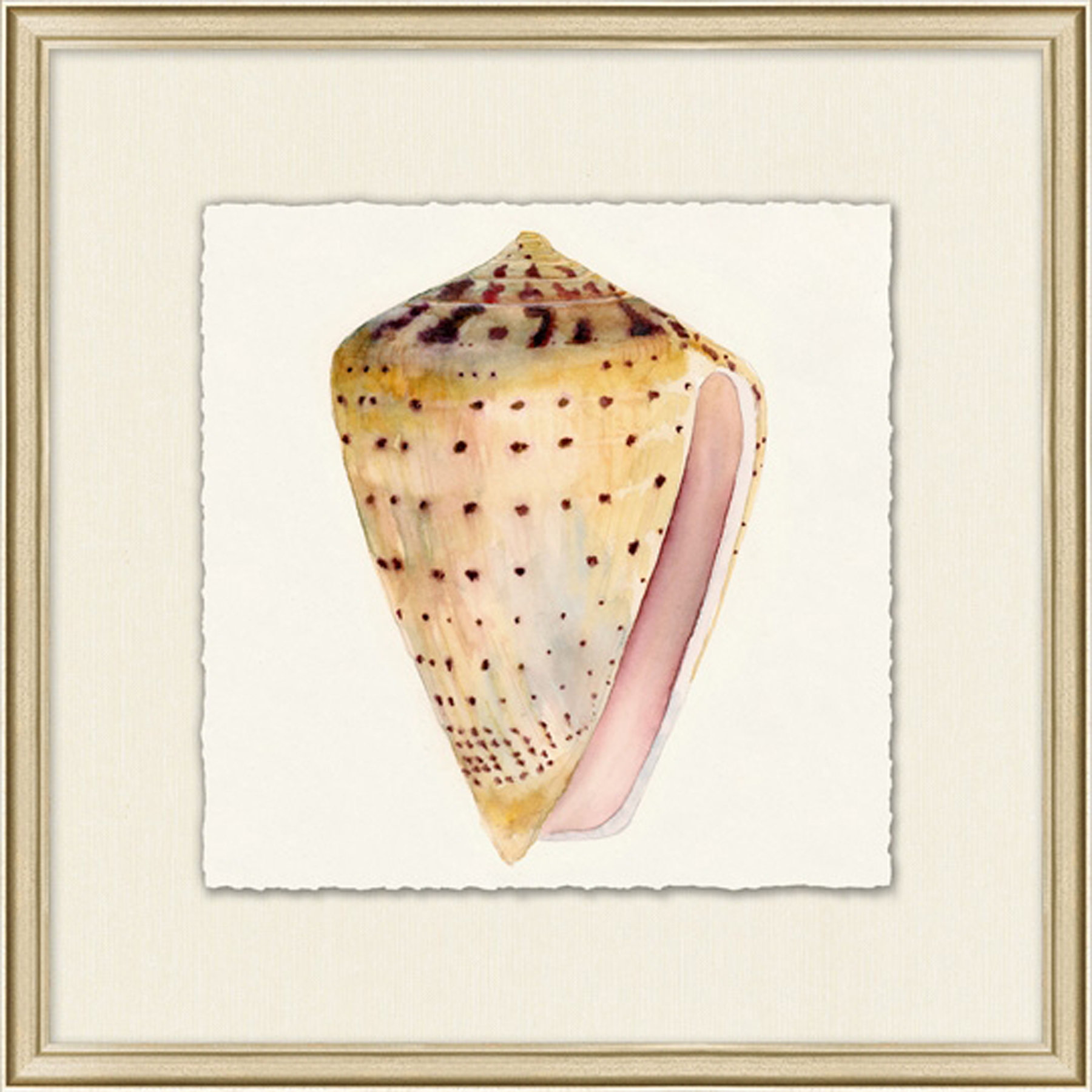 Wendover Art Group Watercolor Shell Collection 9 - Picture Frame ...