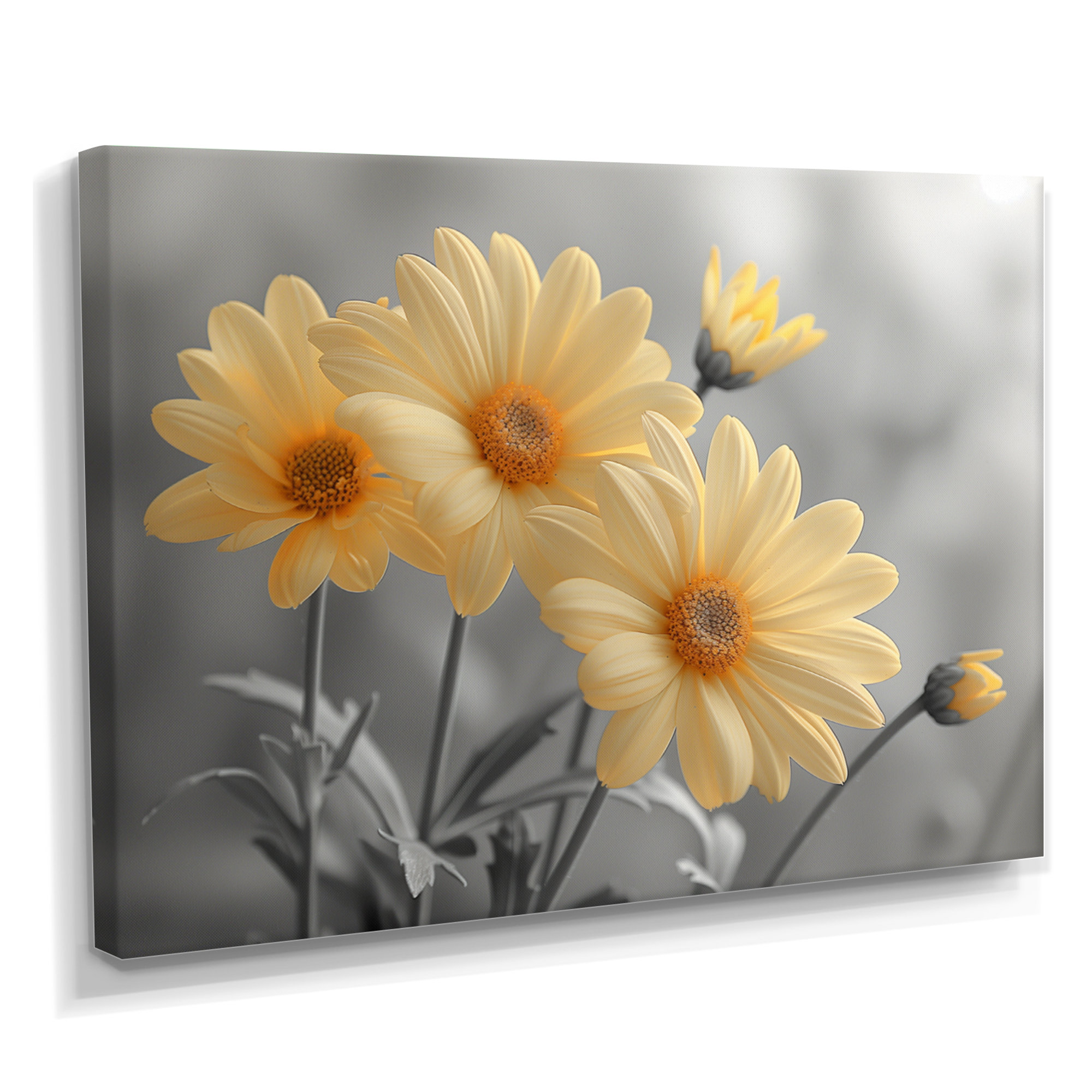 Red Barrel Studio® Monochrome Yellow Grey Rustic Beauty Daisies ...