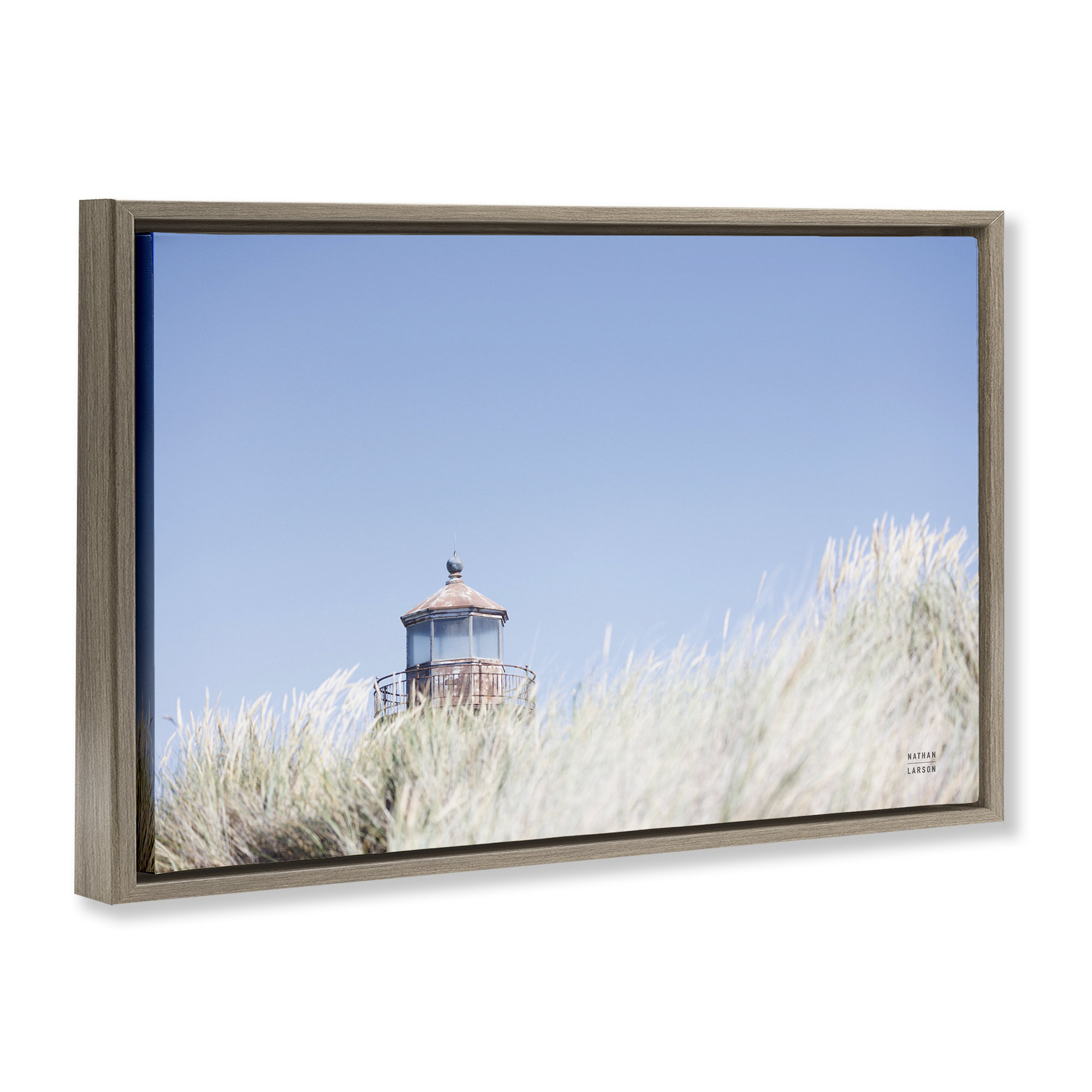 Dovecove Peering Over Lighthouse Framed Floater Canvas by Nathan Larson ...