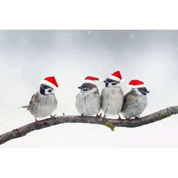 The Seasonal Aisle Funny Christmas Birds by Nataba - Wrapped Canvas ...