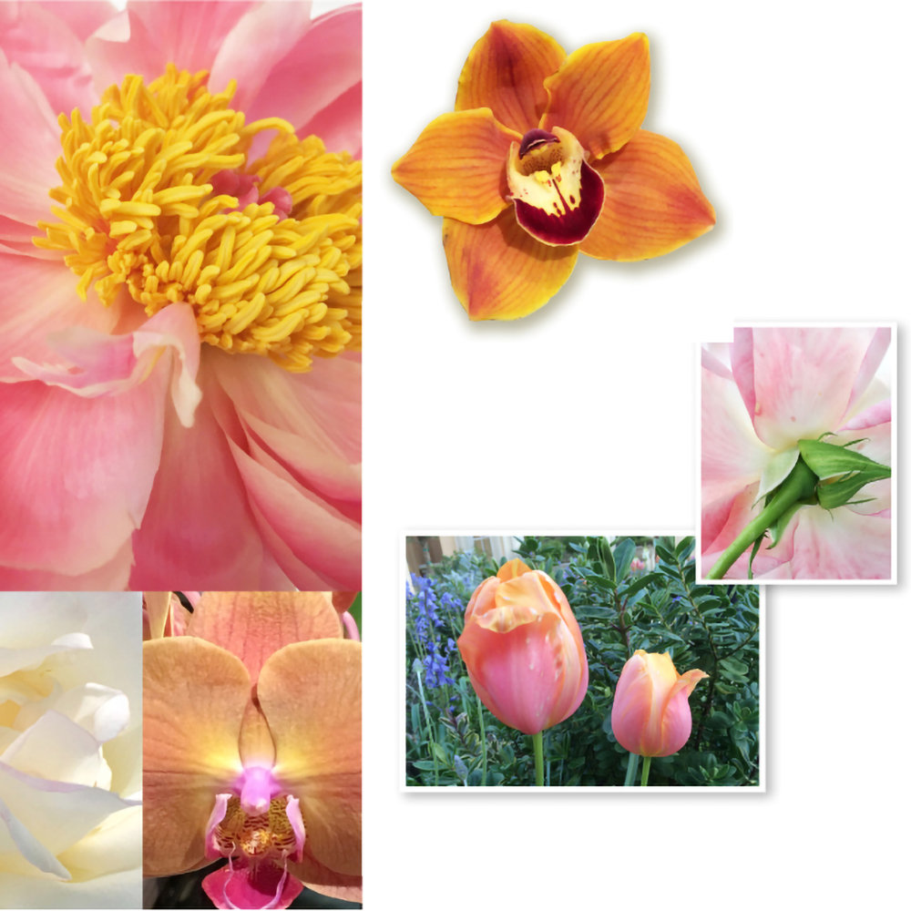 Winward Home Artificial Roses Floral Arrangements in Vase & Reviews ...