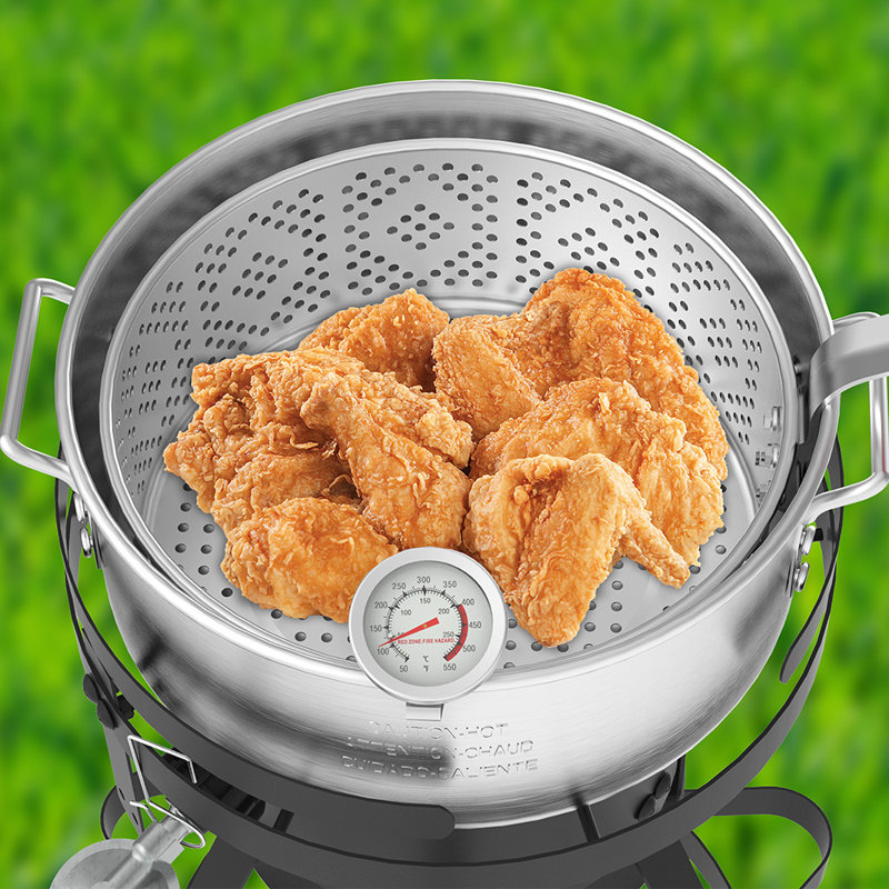 Nexgrill 10 Qt. Aluminum Fish & Wings Propane Fryer Kit | Wayfair