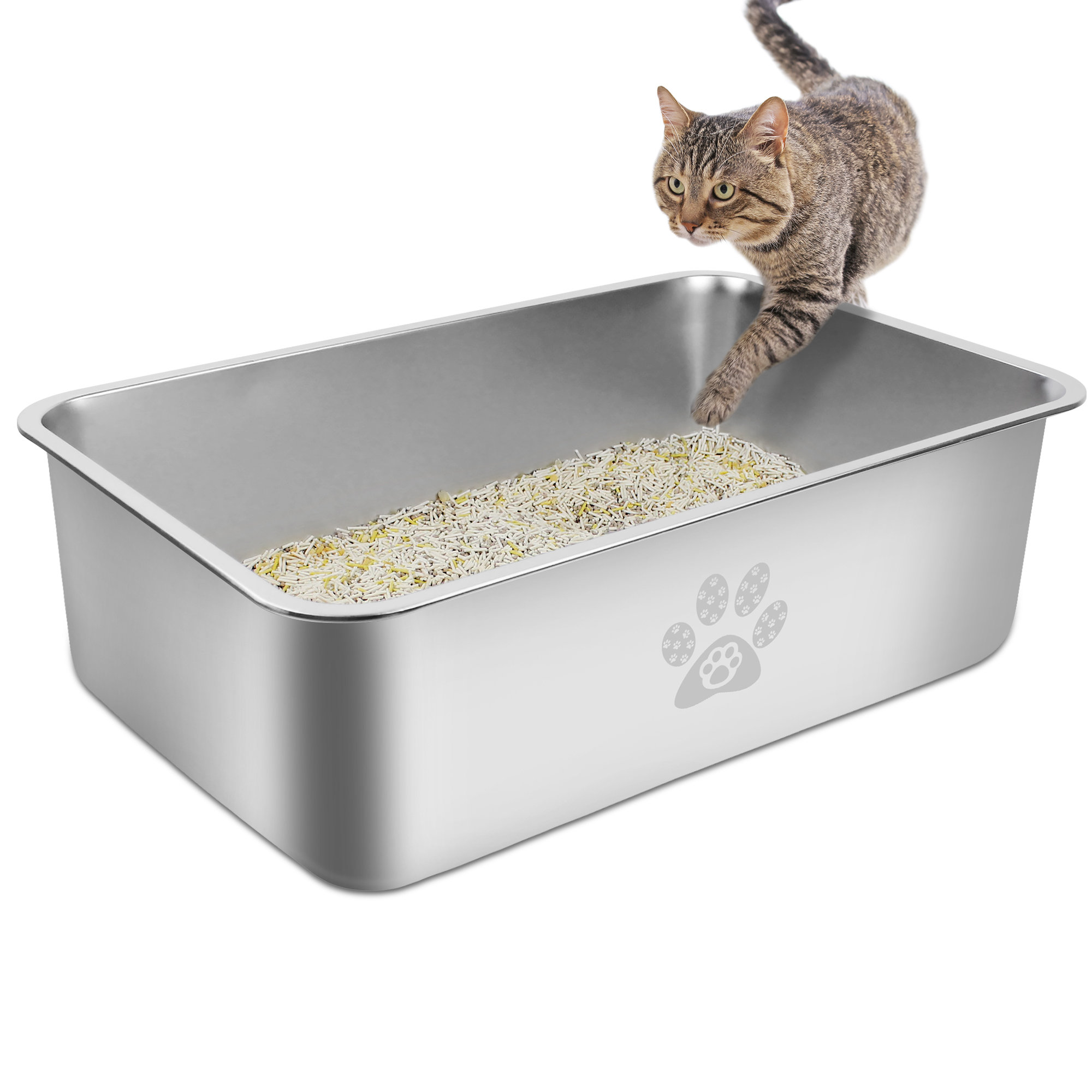 Tucker Murphy Pet™ Tucker Murphy Pet Georgy Stainless Steel Cat Litter ...