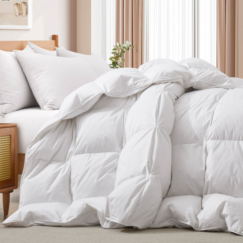Alwyn Home 600 Fill Power All Seasons Down Comforter & Reviews | Wayfair