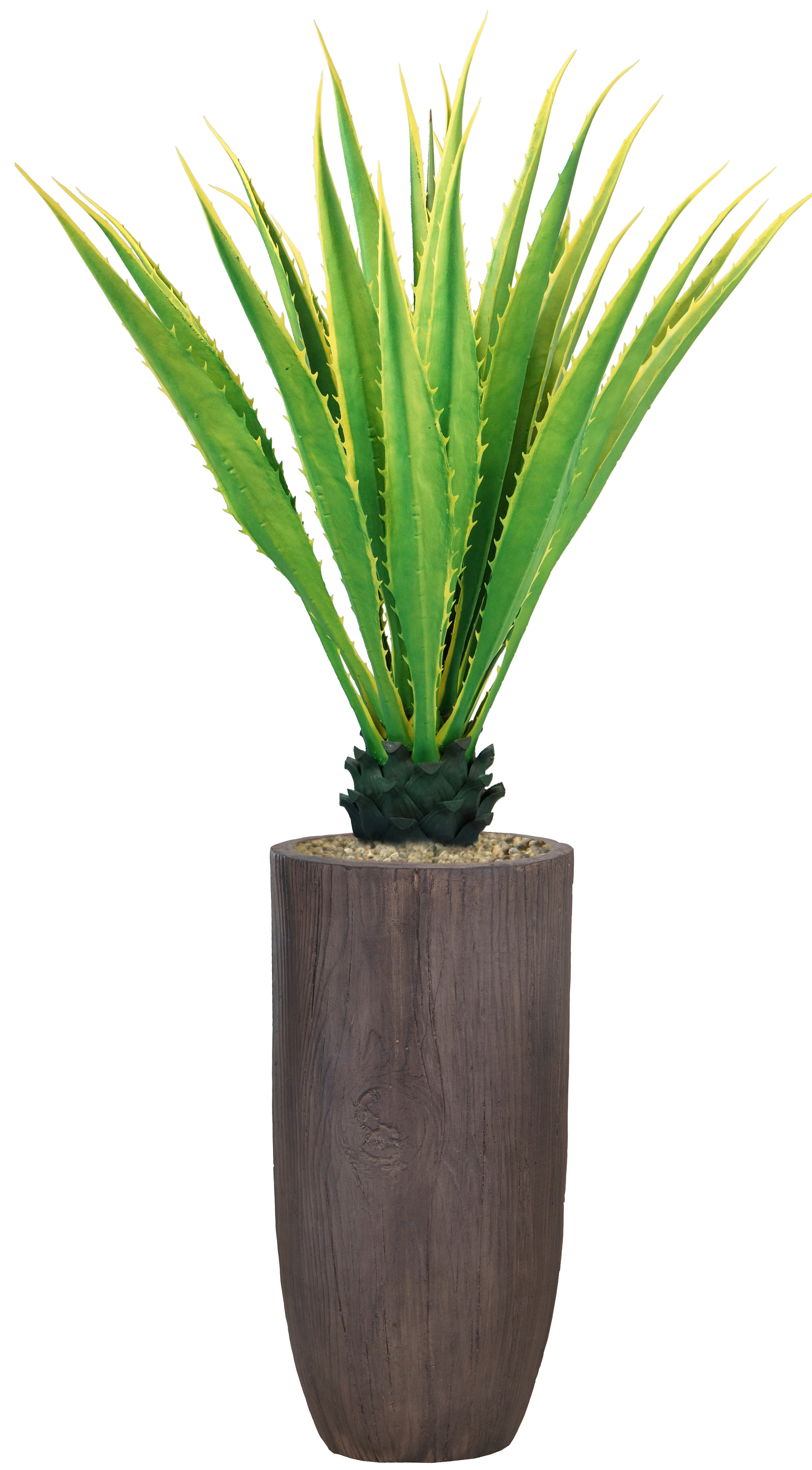 Laura Ashley Real Touch Agave Plant in Planter & Reviews | Perigold