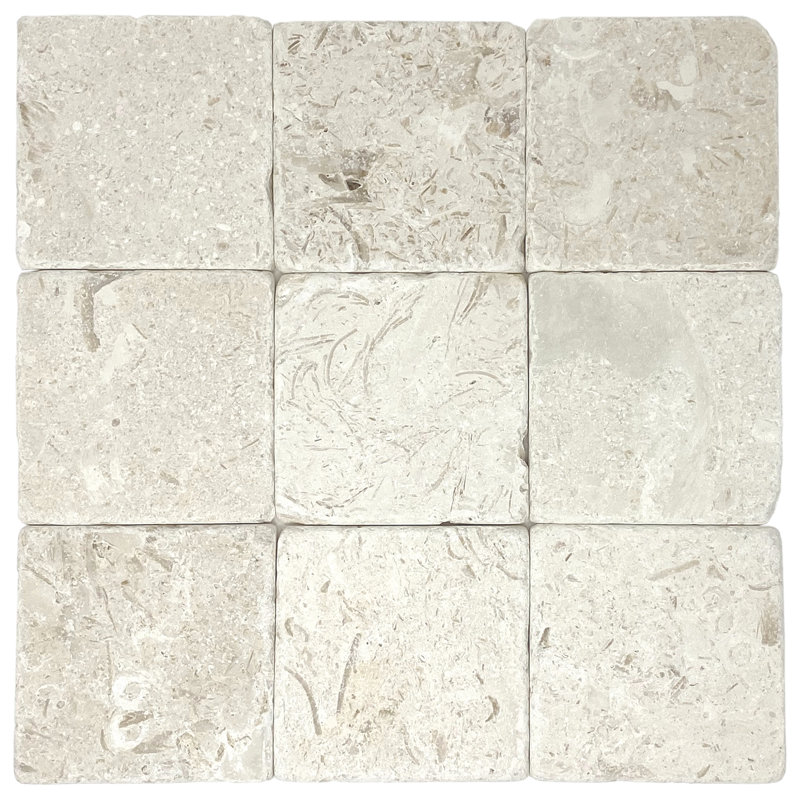 Parvatile Fossil Stone 4" x 4" Limestone Tile & Reviews | Wayfair