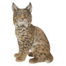Hi-Line Gift Ltd. Sitting Bobcat Statue & Reviews | Wayfair