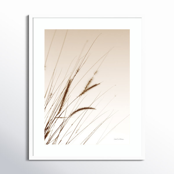 Field Grasses I Sepia by Debra Van Swearingen | Birch Lane