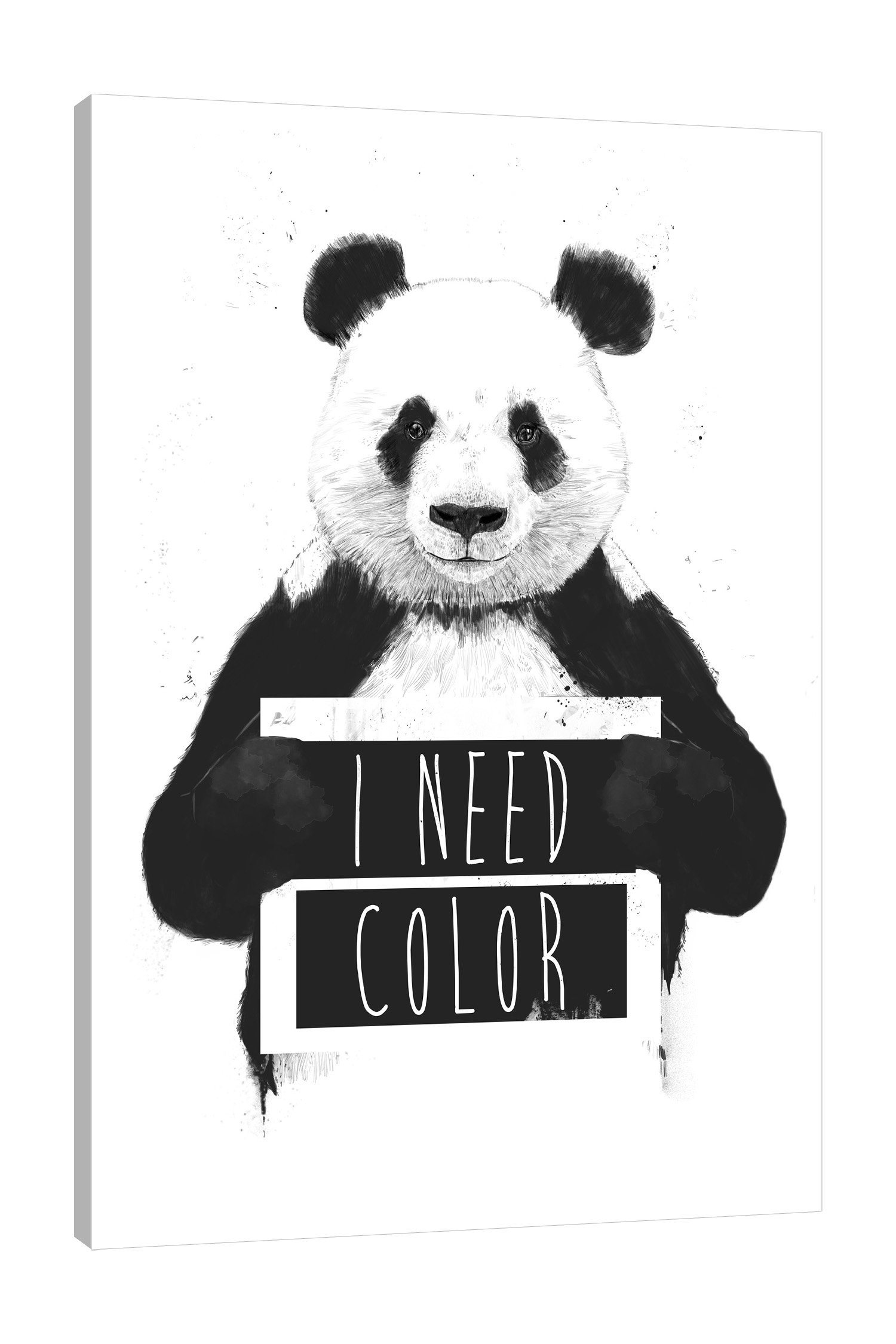 Trinx "I Need Colour" Gallery Wrapped Canvas By Balazs Solti - Wayfair ...