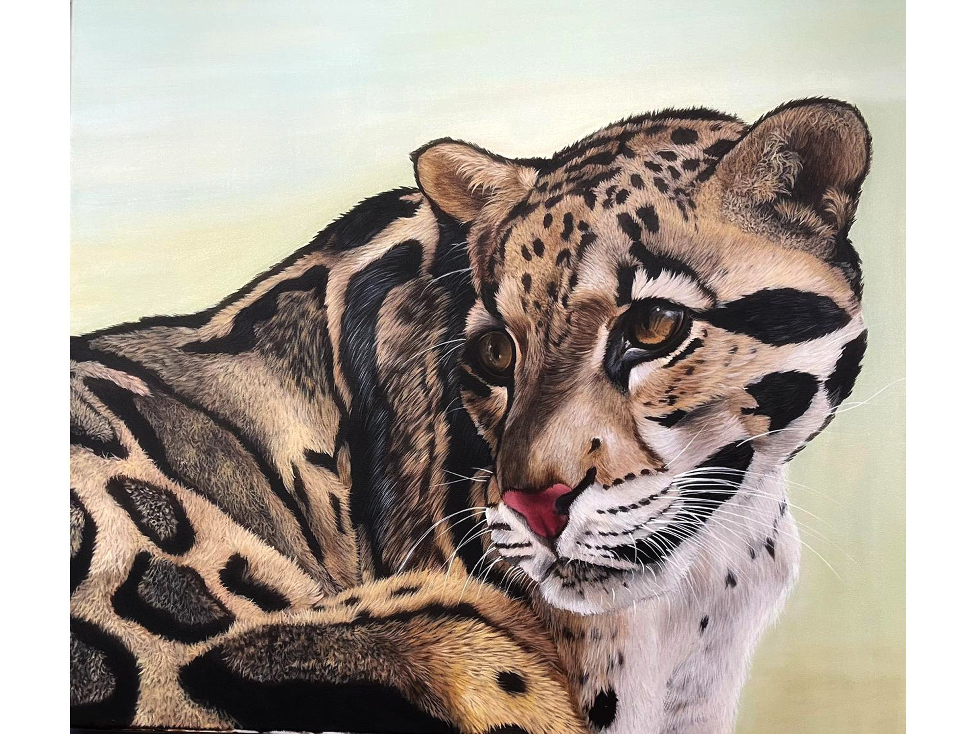 Exotic India The Gaze (Clouded Leopard) | Painting By Zoya | For Wall ...