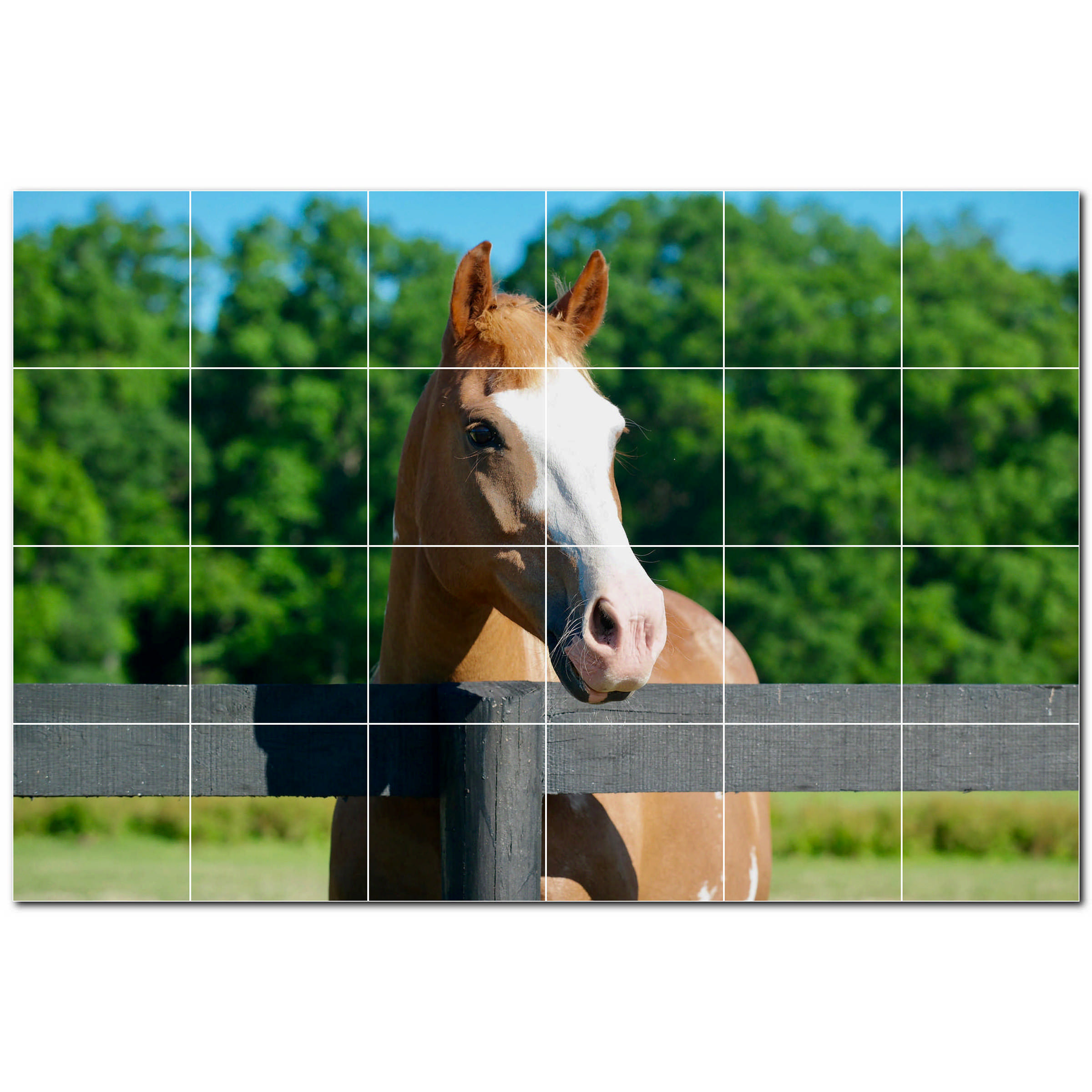 Picture-Tiles.com 60" x 48" Ceramic Farm Photo Decorative Mural Tile ...