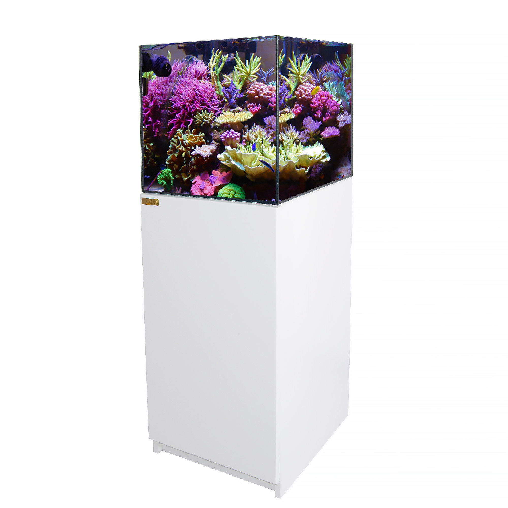 Tucker Murphy Pet™ 50 Gallon Coral Reef Aquarium Tank With Ultra Clear ...