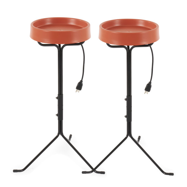 Wildon Home® Azelynn Birdbath | Wayfair