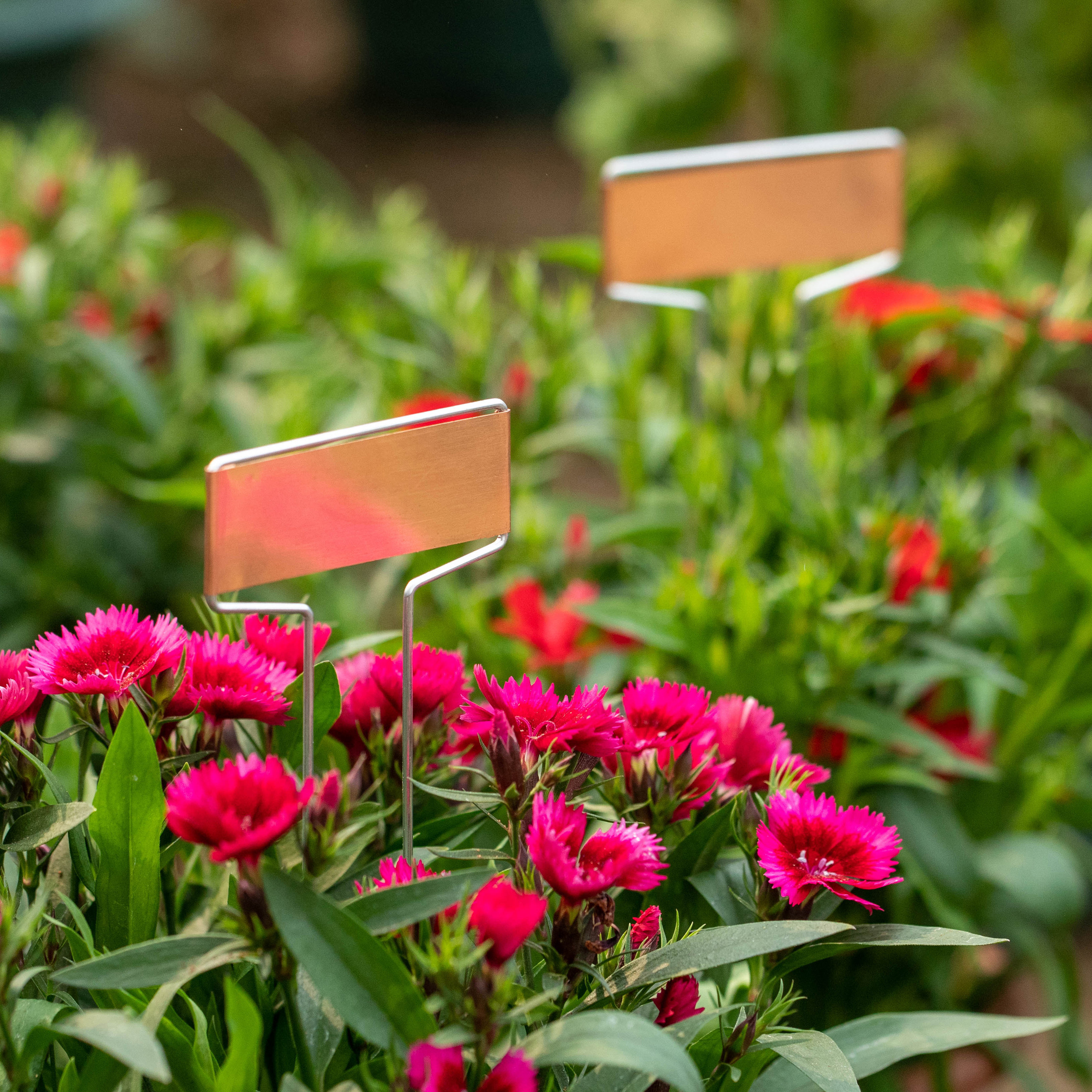 Latitude Run® 25-pcs Weatherproof Plant Markers Labels For Seedlings ...