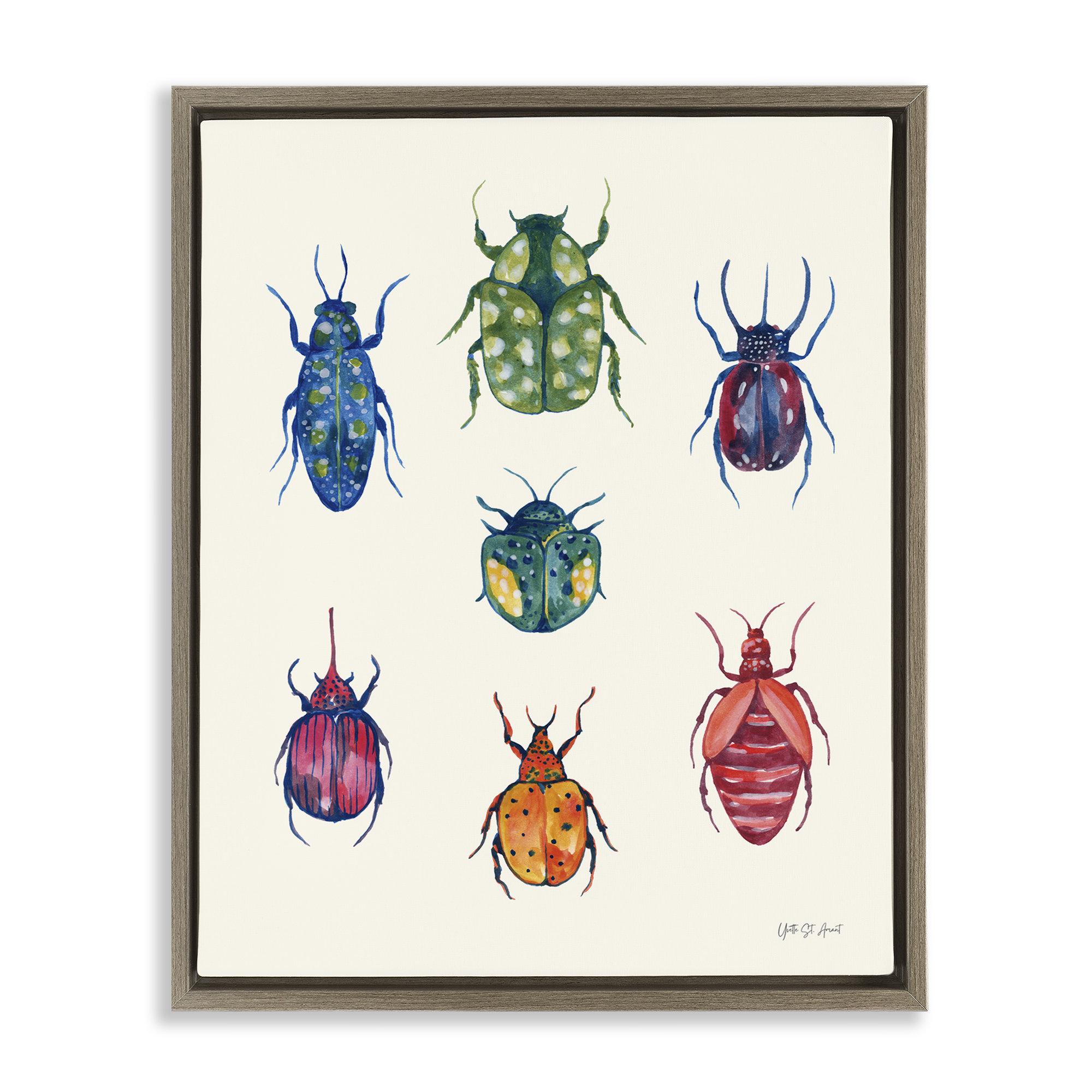 Latitude Run® Varied Beetle Chart Floater Canvas Wall Art by Yvette St ...